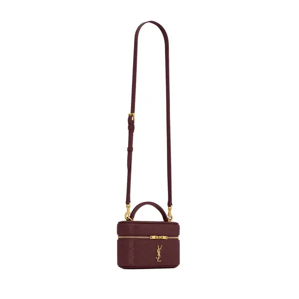 Saint Laurent Gaby Vanity Bag