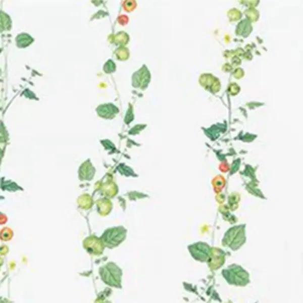 SUMMERILL & BISHOP Linen Tomato Verte Tablecloth