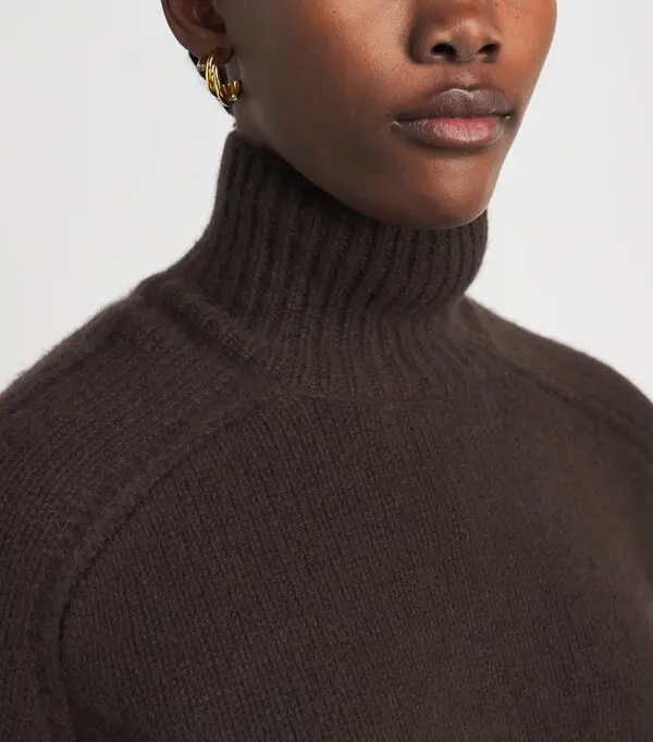 JOSEPH Cashmere Rollneck Tilly Lofty Sweater