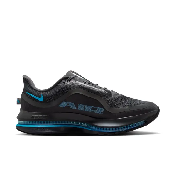 Nike Pegasus Premium Road Running Shoes