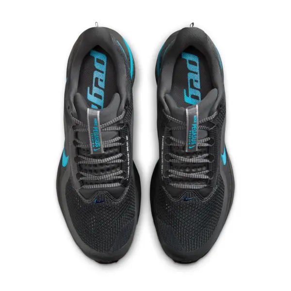 Nike Pegasus Premium Road Running Shoes
