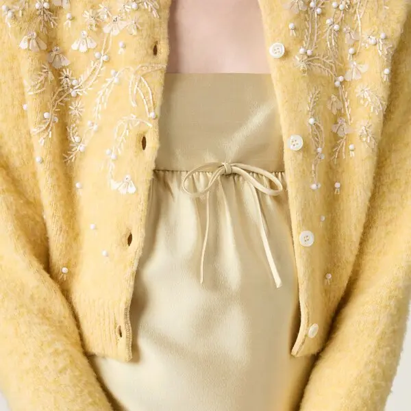 Miu Miu Embroidered Silk And Wool Dress