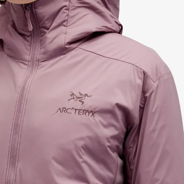 Arc'teryx Atom Hoodie Jacket - Interstellar