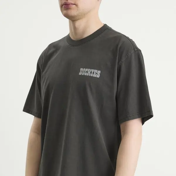 Dickies Buchtell T-shirt