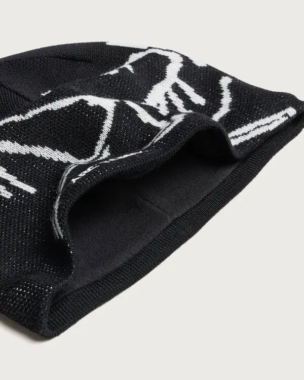 Arc'teryx Bird Head Toque Beanie