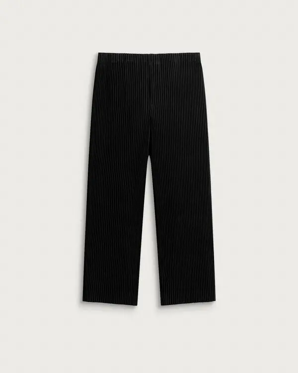 Issey Miyake Pleated Trousers