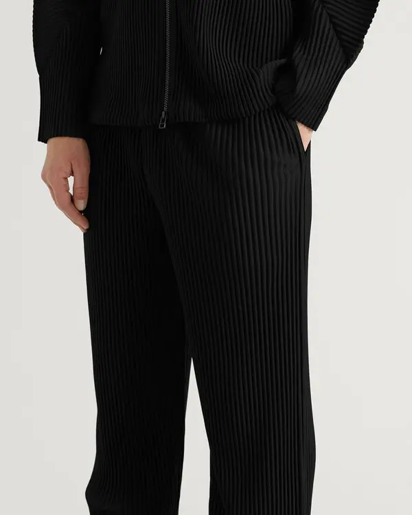 Issey Miyake Pleated Trousers