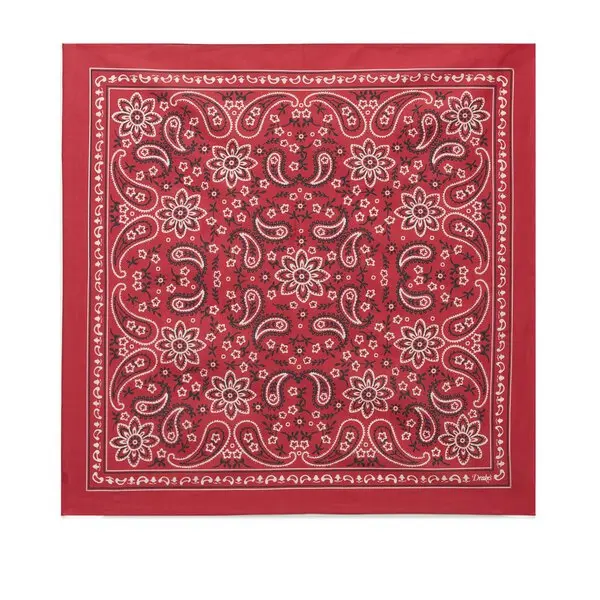 DRAKE'S Classic Paisley Bandana - Red