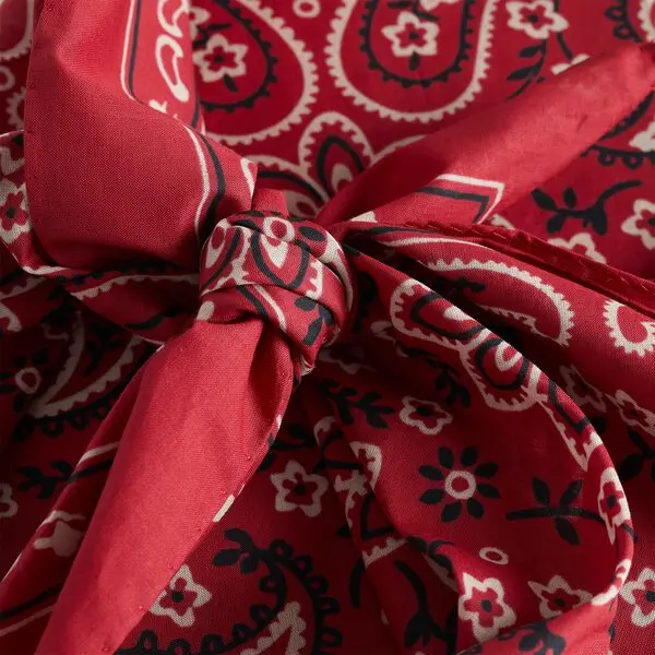 DRAKE'S Classic Paisley Bandana