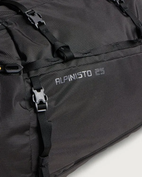 GREGORY Alpinisto Backpack 25l