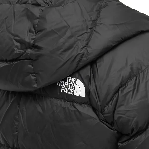 The North Face Hyalite Hooded Down Jacket