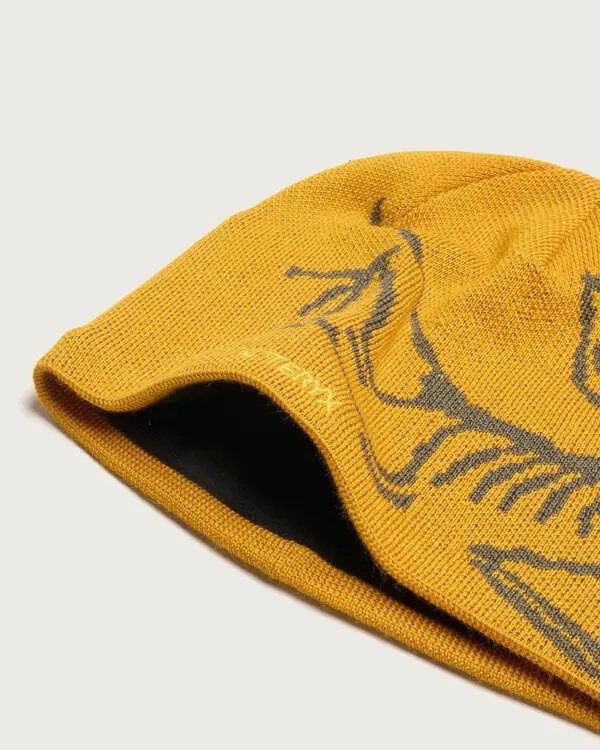 Arc'teryx Bird Head Toque - Nucleus/mongoose