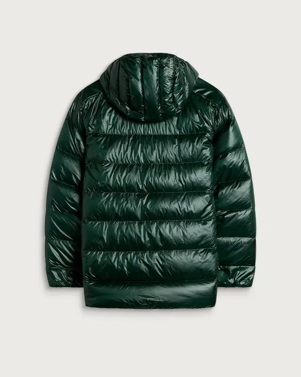 Arc'teryx Cerium Sv Hooded Down Jacket