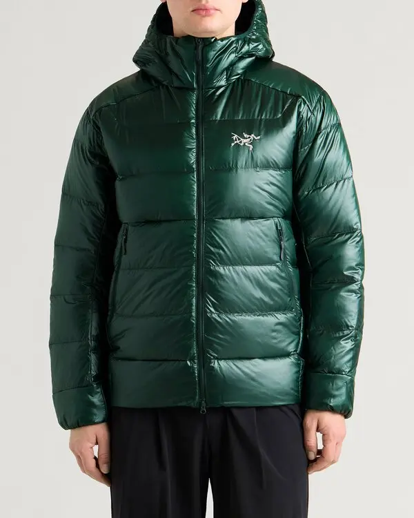 Arc'teryx Cerium Sv Hooded Down Jacket