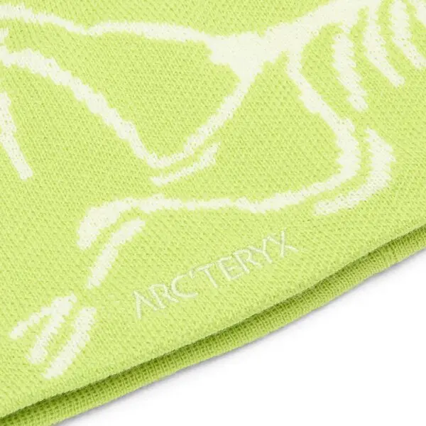 Arc'teryx Bird Head Toque - Mantis/arctic Silk