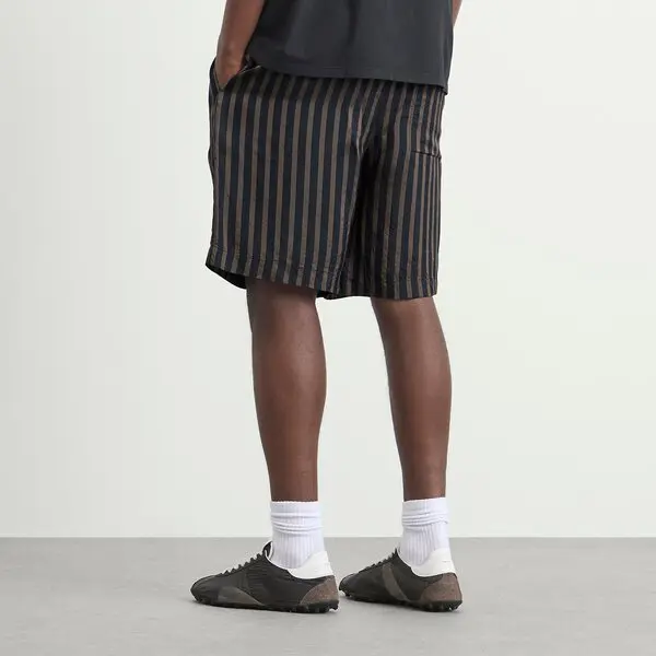 Dries Van Noten Stripe Cupro Shorts