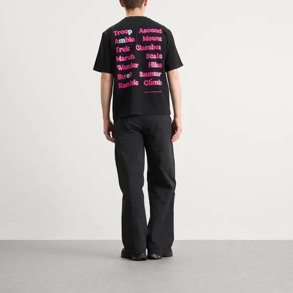 PURPLE MOUNTAIN OBSERVATORY Ascend T-shirt