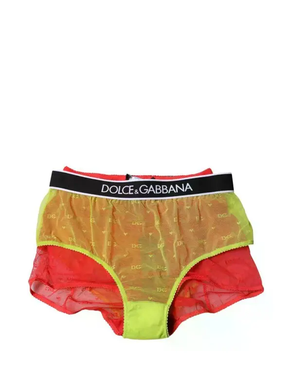 Dolce & Gabbana Logo-waistband Tulle Briefs