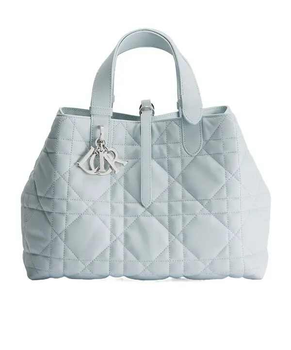 Dior Medium Toujours Bag