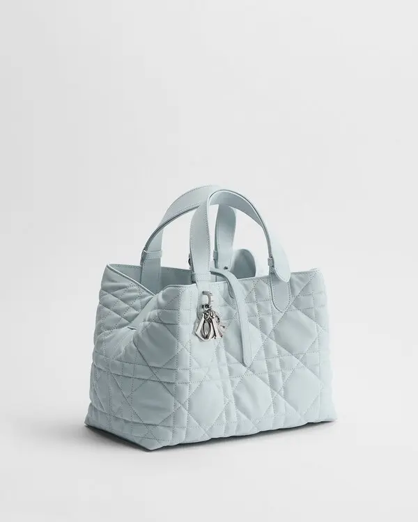 Dior Medium Toujours Bag