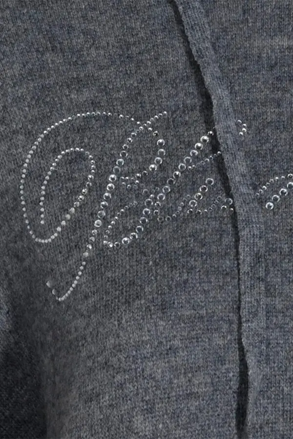 Blumarine Logo Hooded Sweater