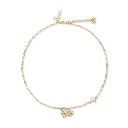 Lele Sadoughi Scorpio Zodiac Necklace