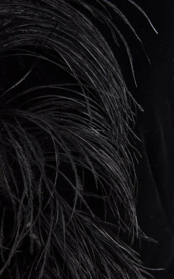 THE ROW Eunice Feathered Velvet Jacket