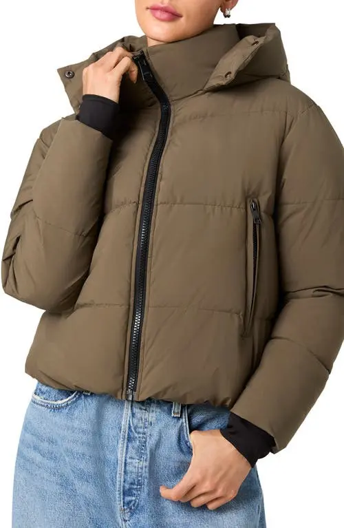 French Connection Water Resistant Puffer Jacket - Juniper