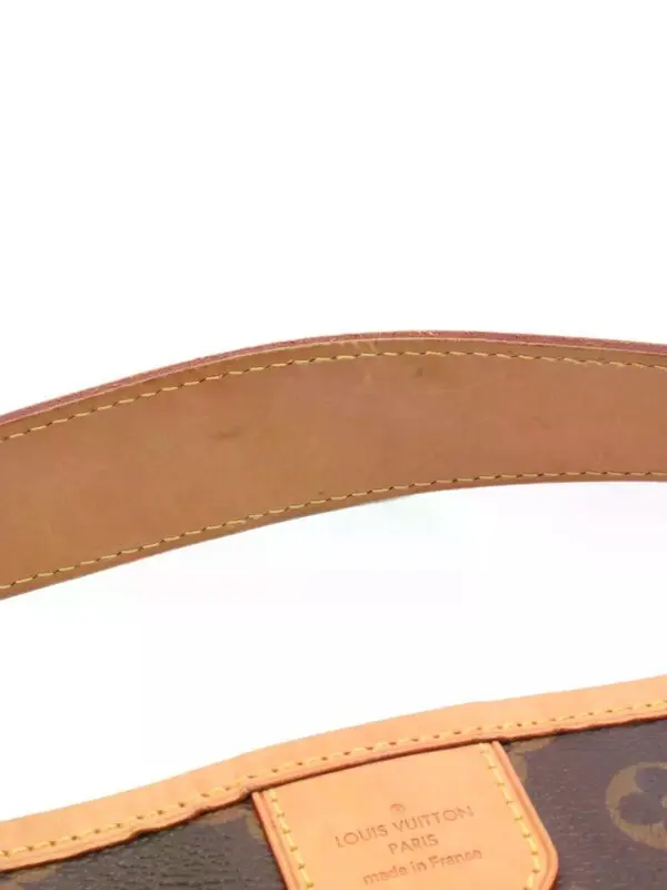 LOUIS VUITTON 2010 Pm Delightful Monogram Shoulder Bag