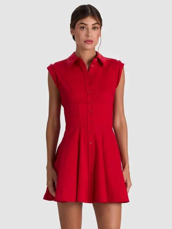 Alice + Olivia Kim Paneled Corset Flared Mini Shirt Dress