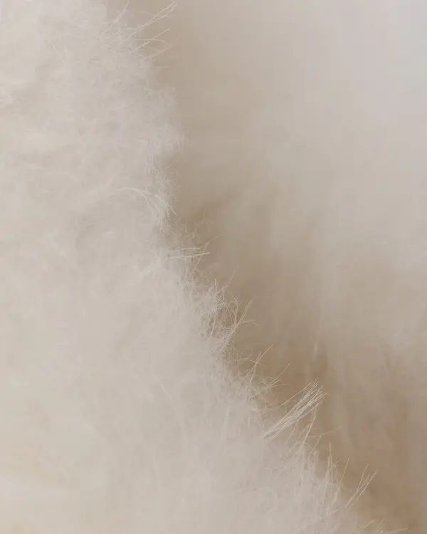Prada Goat-fur Collar