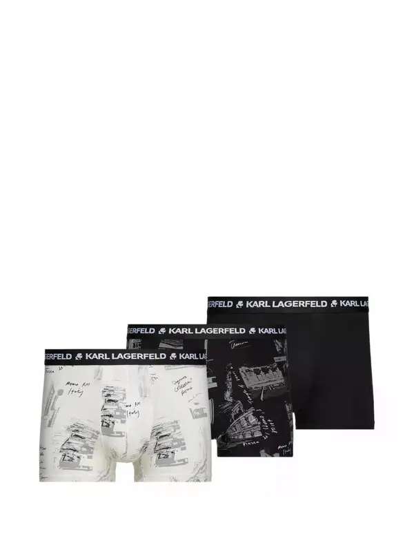 Karl Lagerfeld Sketches Of Rome Trunks