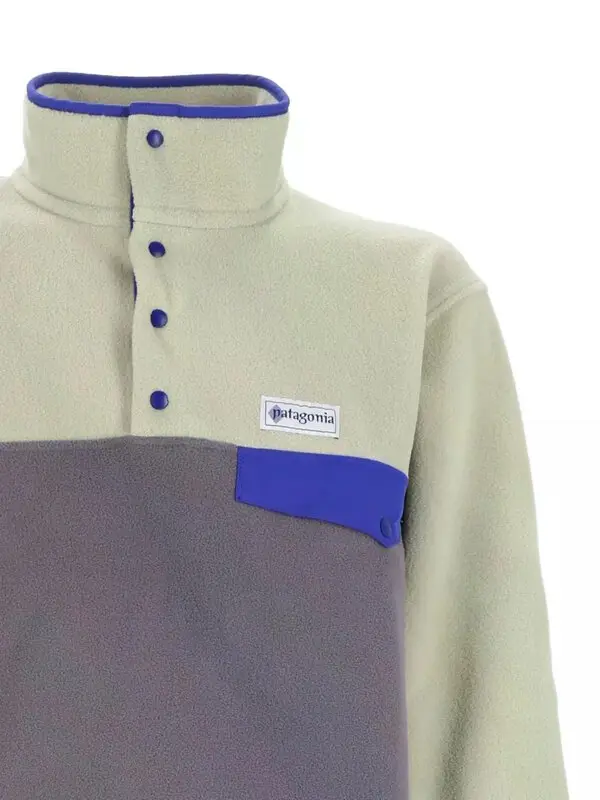 Patagonia Synchilla Colour-block Fleece Sweatshirt