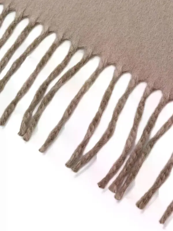 Hermès 2010s Evelyn Scarf