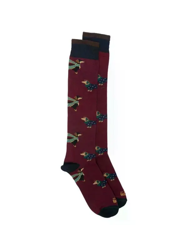 IN THE BOX Dog Bassoto Ribbed-trim Socks