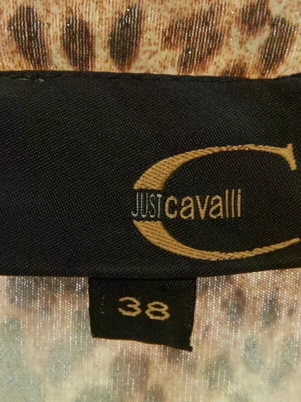 Just Cavalli Leopard-print Long-sleeve Top