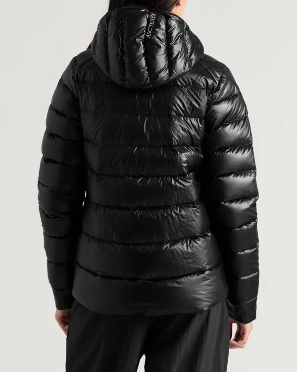 Arc'teryx Cerium Sv Hoodie