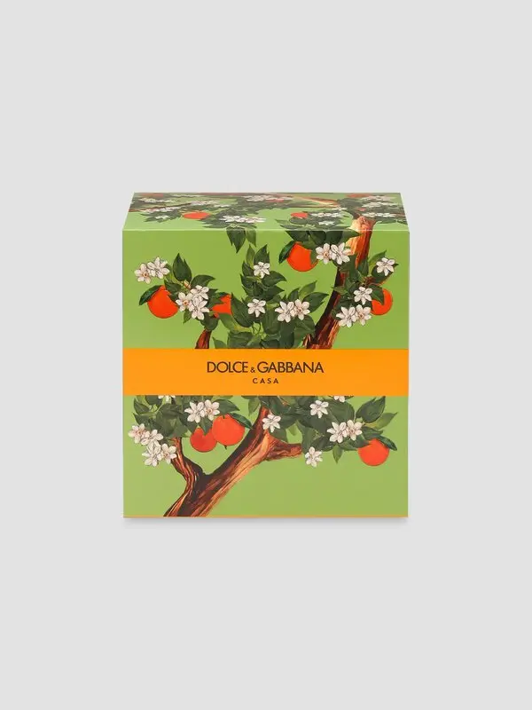 Dolce & Gabbana Wild Jasmine Scented Candle