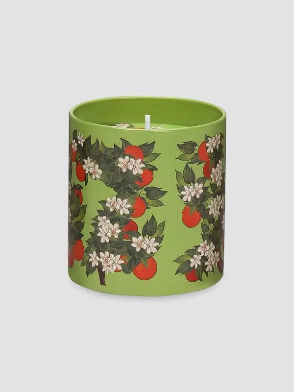 Dolce & Gabbana Wild Jasmine Scented Candle