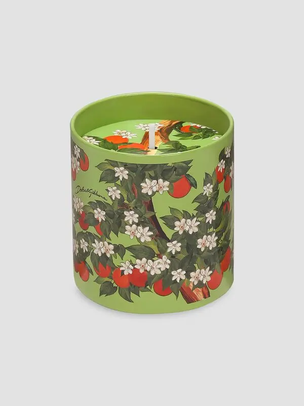 Dolce & Gabbana Wild Jasmine Scented Candle