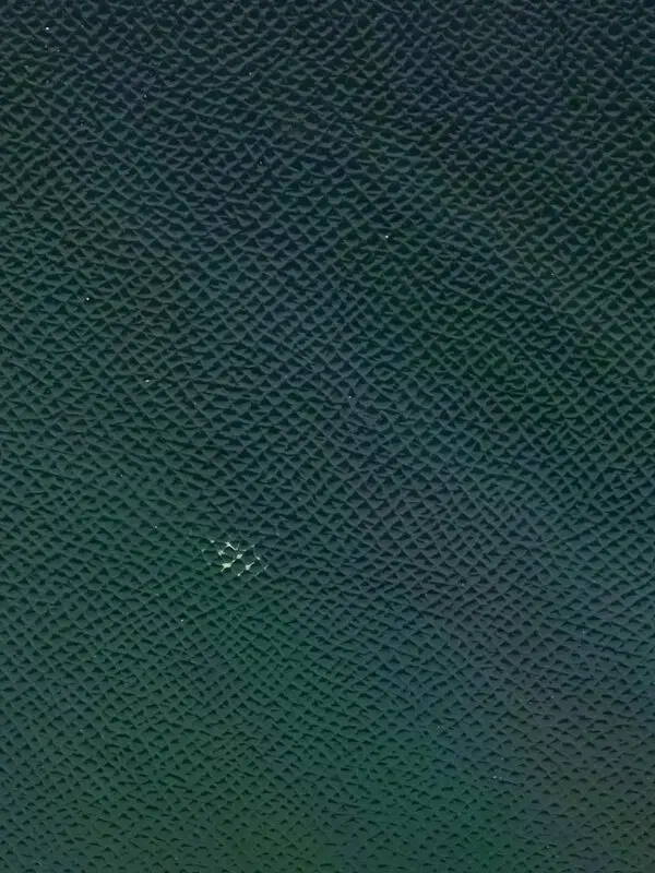 Dolce & Gabbana Dauphine Clutch Bag