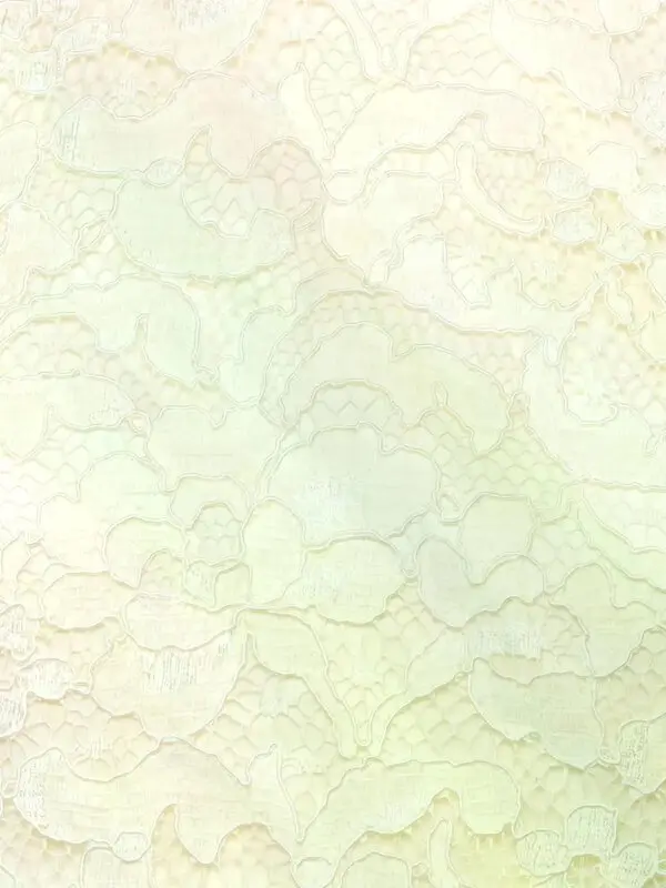 Dolce & Gabbana Floral-lace Mini Shift Dress