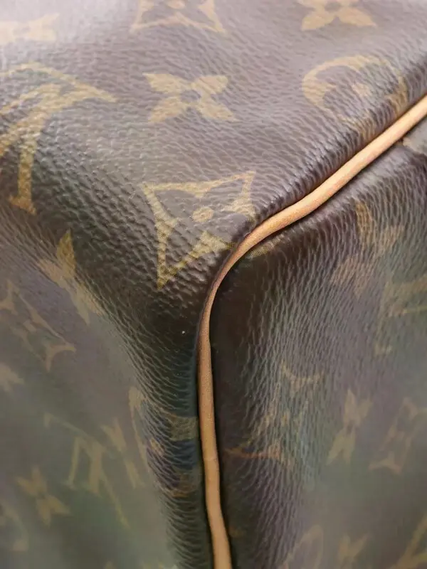 LOUIS VUITTON 2021 Speedy 25 Monogram Tote Bag