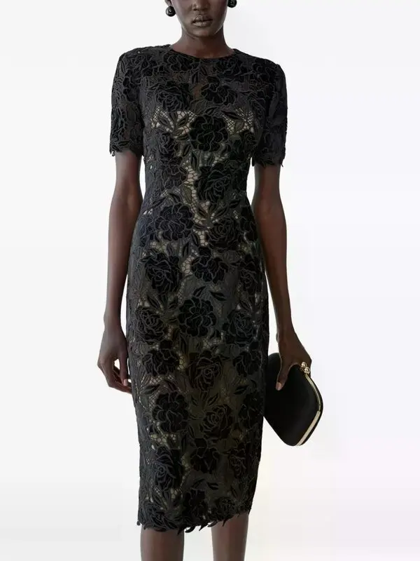 Carolina Herrera Velvet-rose Lace Fitted Midi Dress