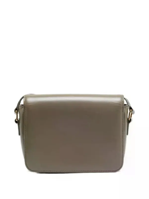 Celine Triomphe Teen Shoulder Bag
