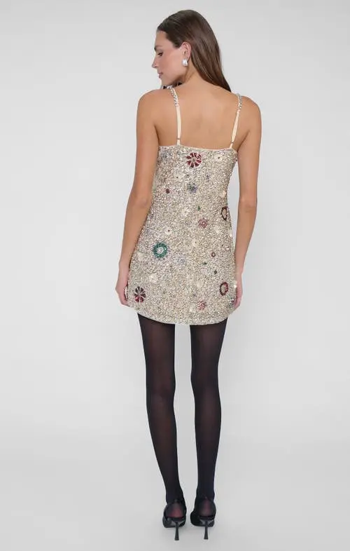 Show Me Your Mumu Clara Mini Dress