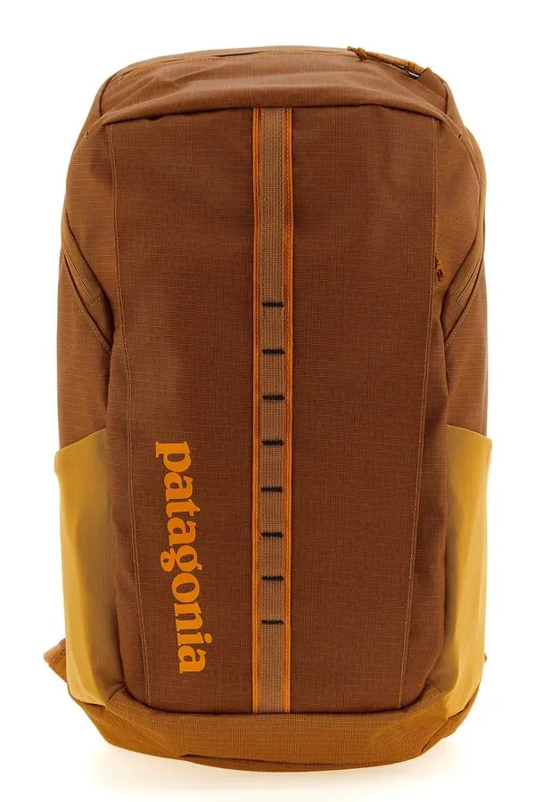 Patagonia Technical Ripstop Backpack