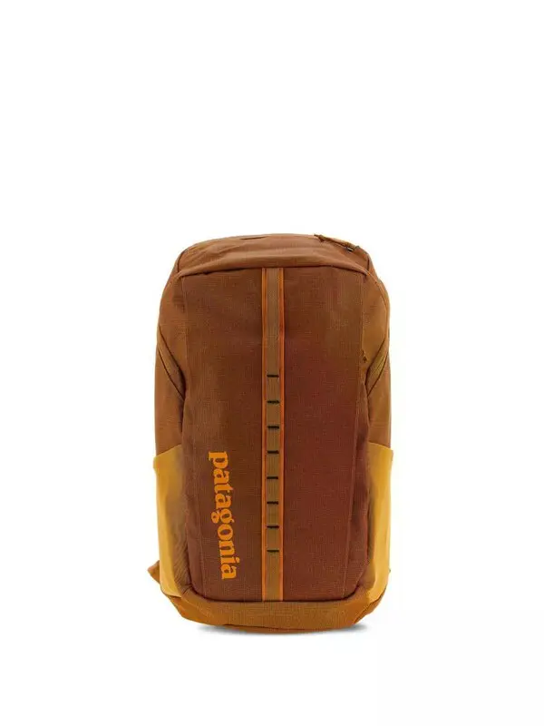 Patagonia Black Hole® Logo-print Backpack - Brown