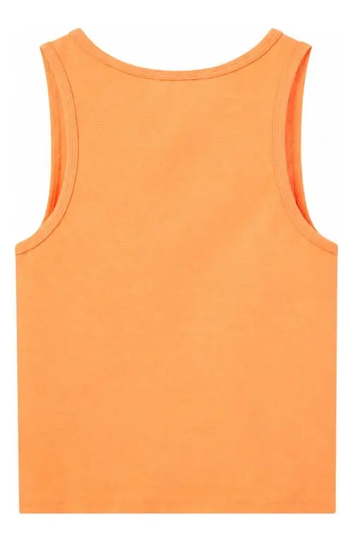 Junk Food Cincinnati Bengals Cropped Tank