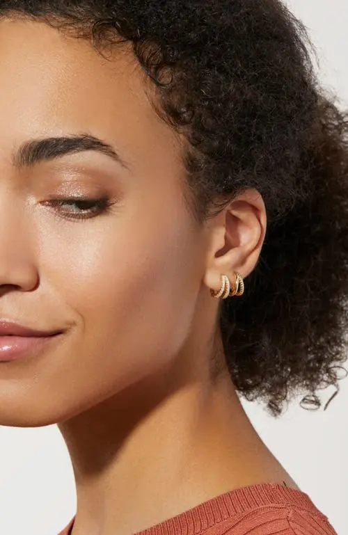 ANA LUISA Small Hoop Earringsjesse